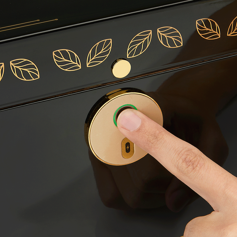 Humidor Supreme Oro | Thompson Cigar